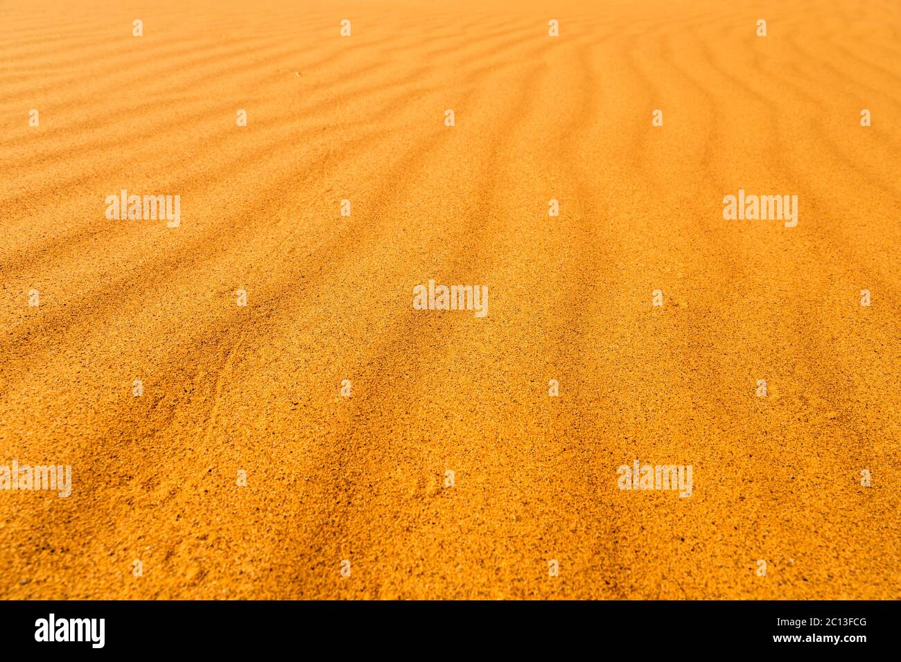 Close up desert hi-res stock photography and images - Alamy