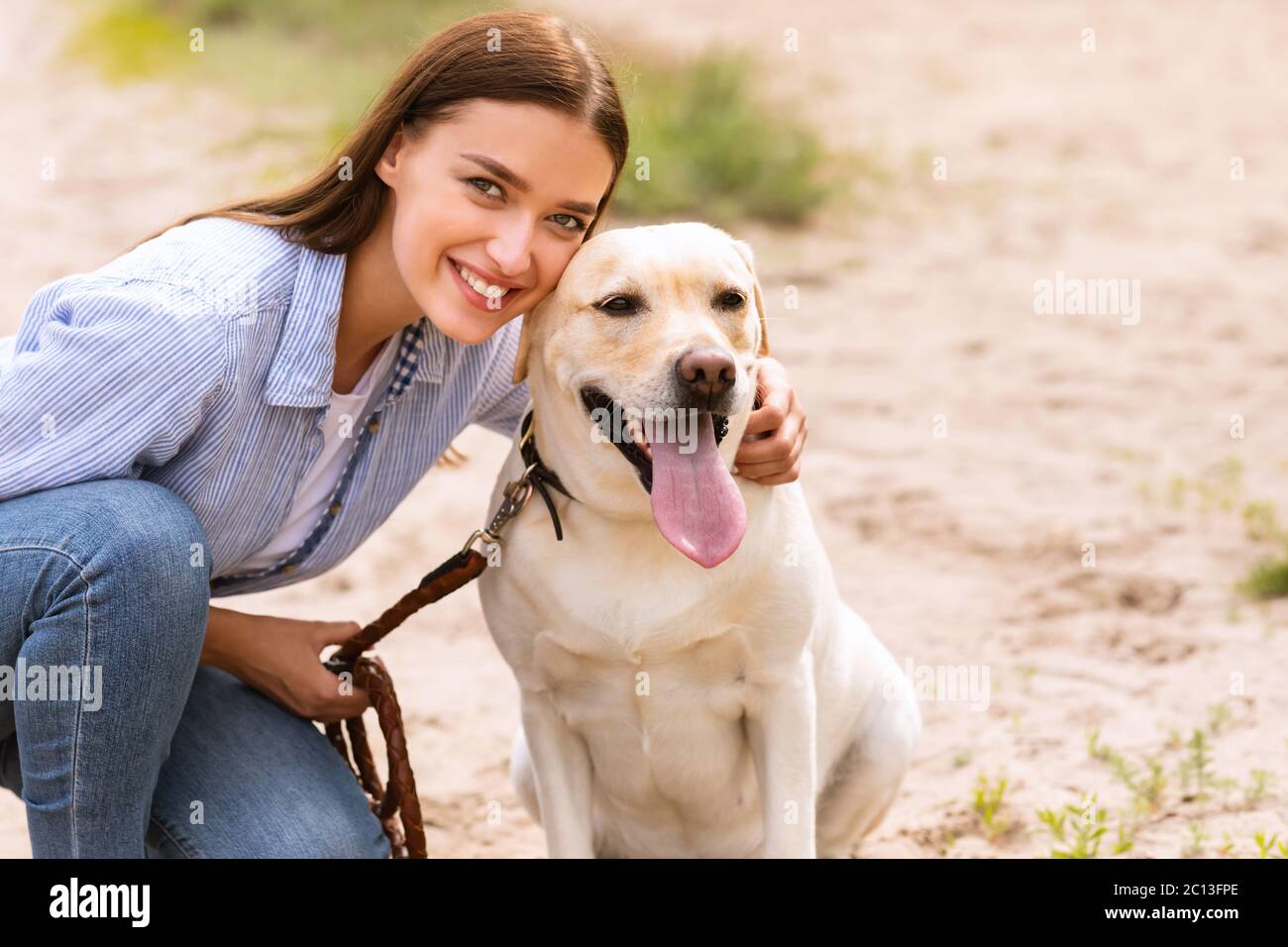 Yellow labrador retriever with person hi-res stock photography and ...