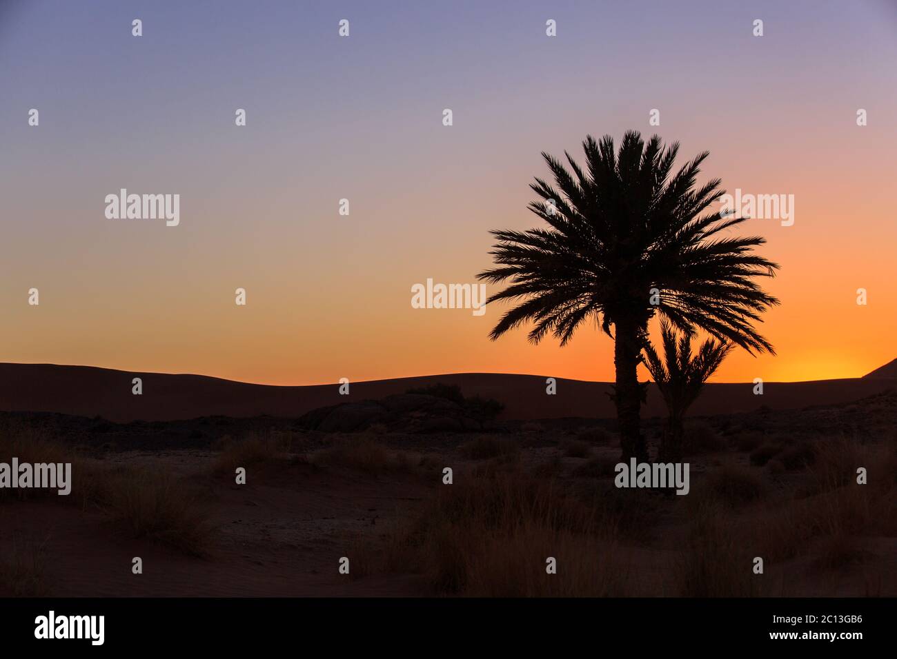 beautiful orange sunset between palm trees in morocco Stock Photo - Alamy