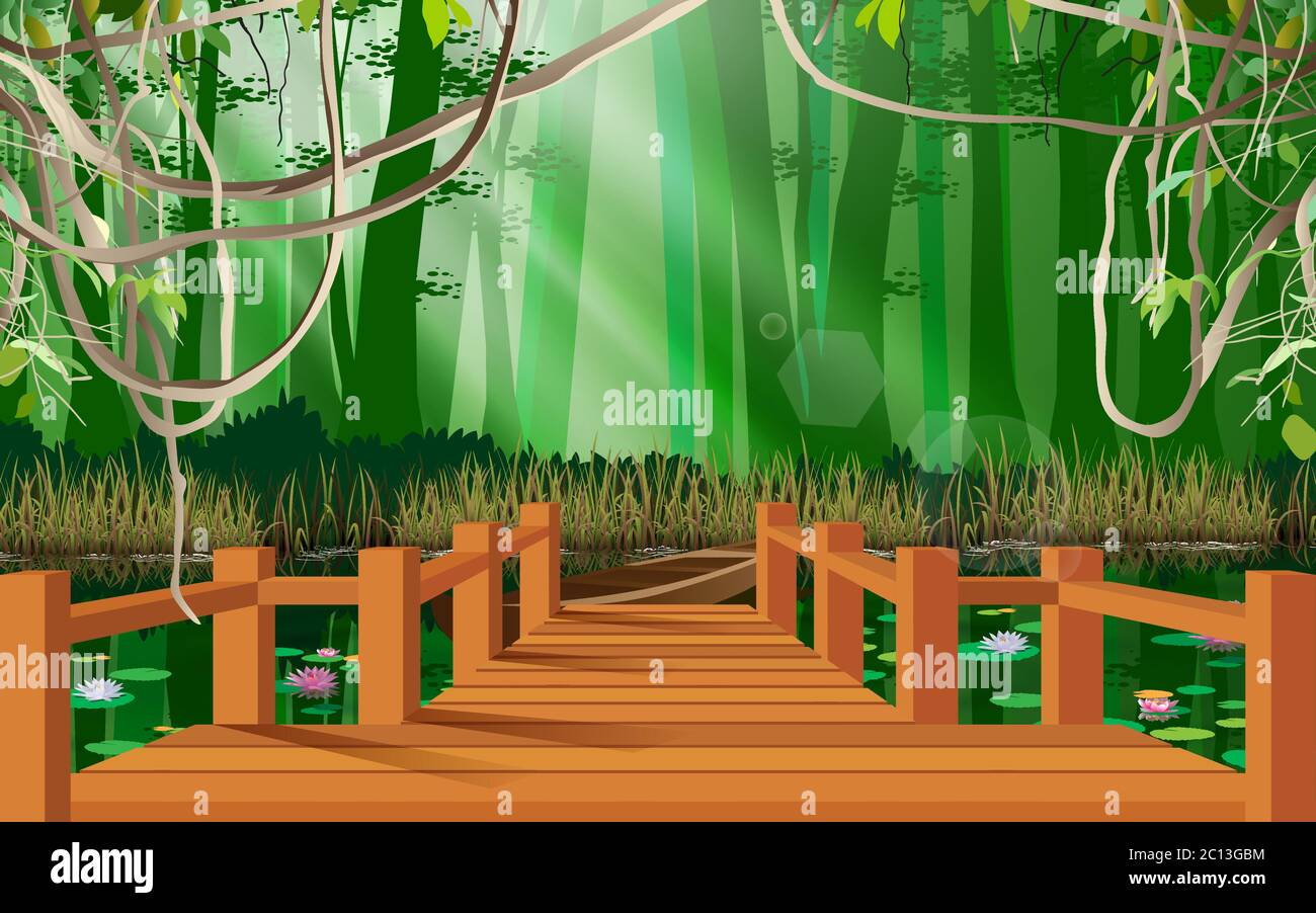 landscape of wooden bridge on the river in the jungle Stock Vector ...