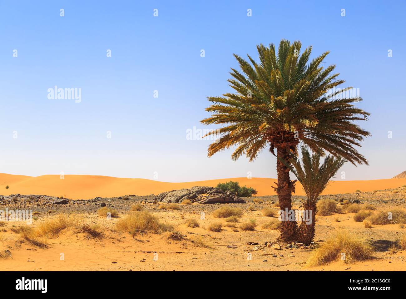 Beautiful Moroccan Mountain landscape in desert with oasis Stock Photo ...