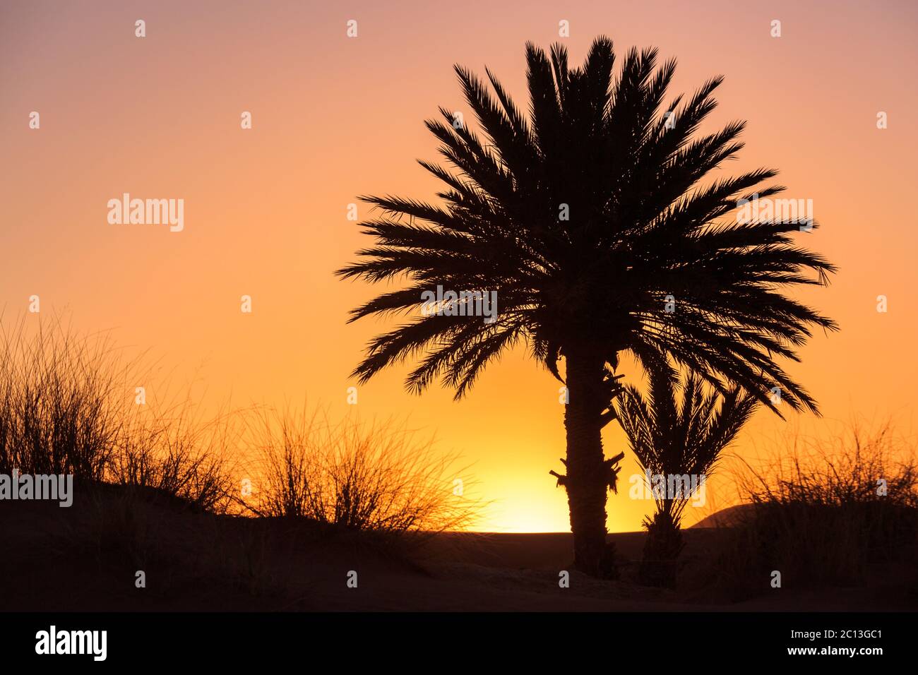 beautiful orange sunset between palm trees in morocco Stock Photo - Alamy