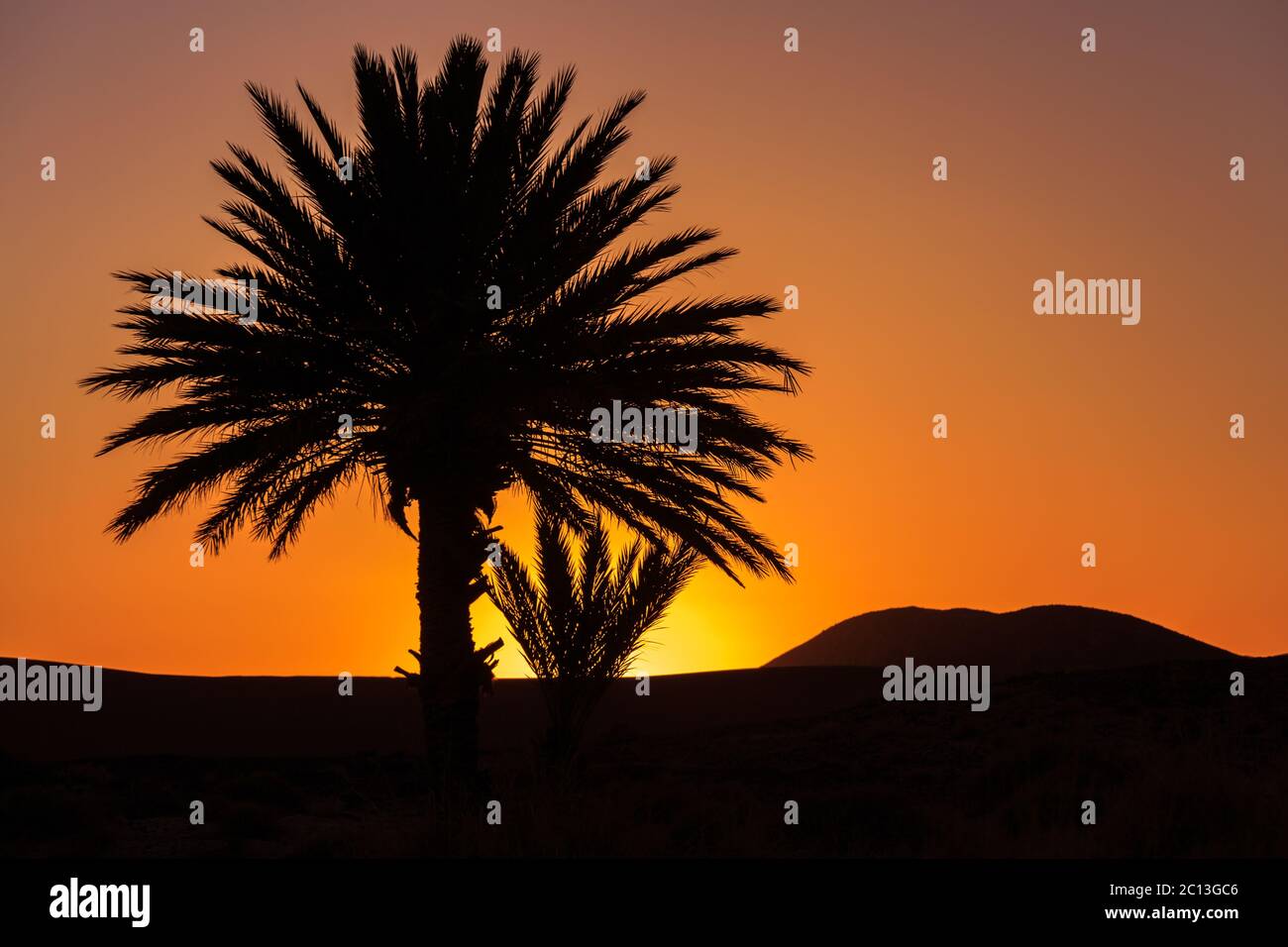 Morocco orange tree hi-res stock photography and images - Alamy