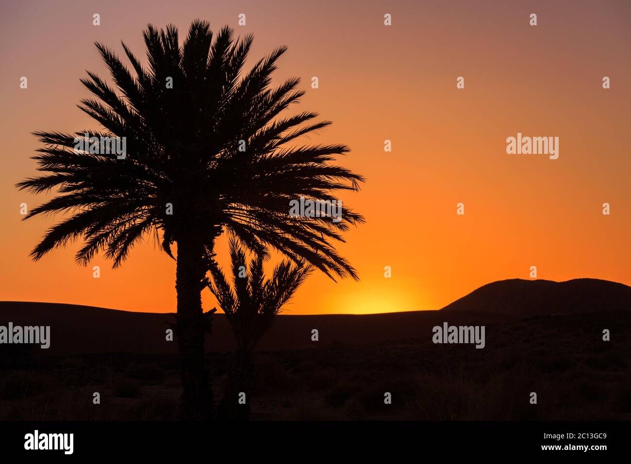 beautiful orange sunset between palm trees in morocco Stock Photo - Alamy