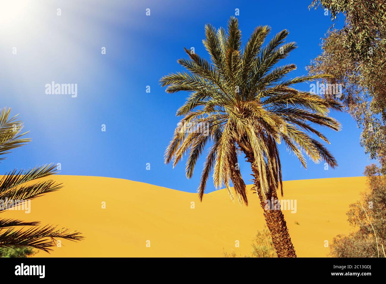 Beautiful Moroccan Mountain landscape in desert with oasis Stock Photo ...
