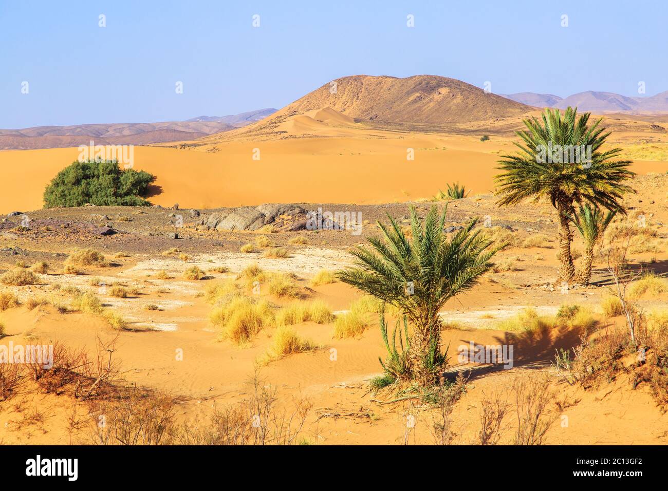Beautiful Moroccan Mountain landscape in desert with oasis Stock Photo ...