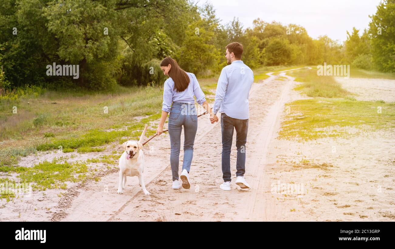 Man walking yellow labrador dog hi-res stock photography and images - Alamy