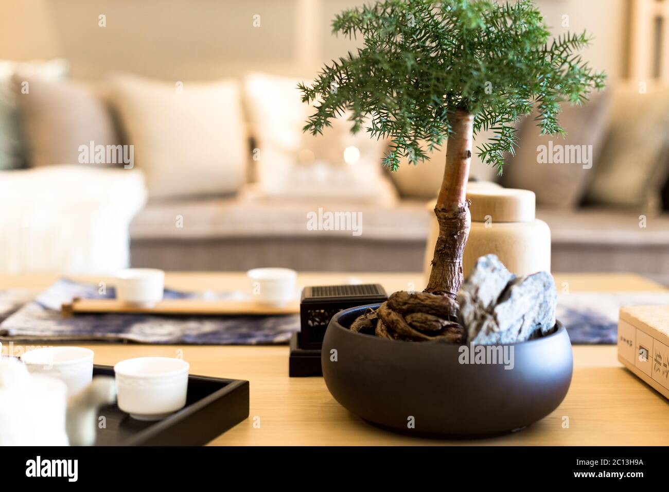 pot plant on wood table in modern living room Stock Photo - Alamy