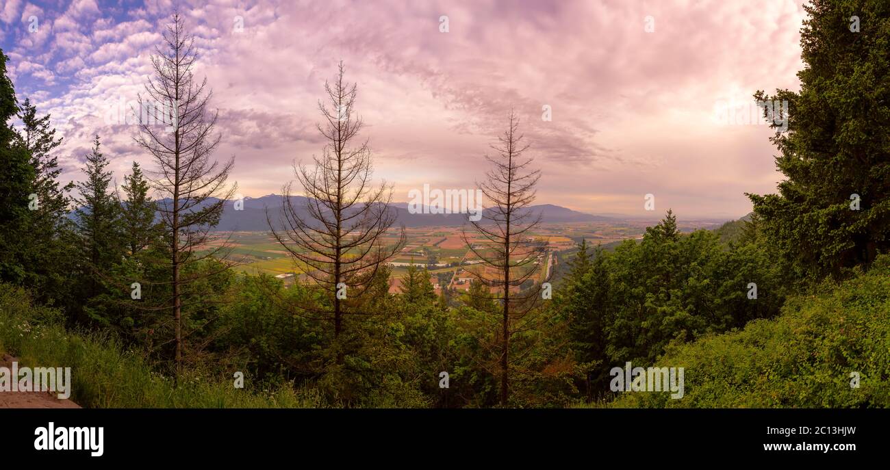 Beautiful Panoramic Landscape View of Fraser Valley from Abby Grind ...