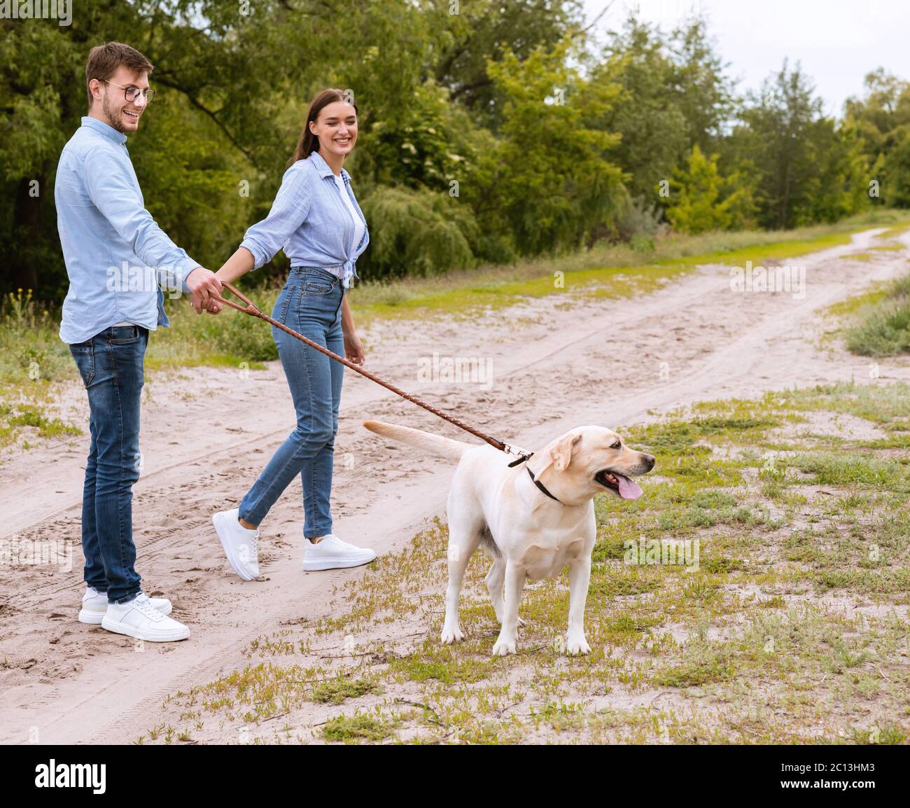 Man walking yellow labrador dog hi-res stock photography and images - Alamy