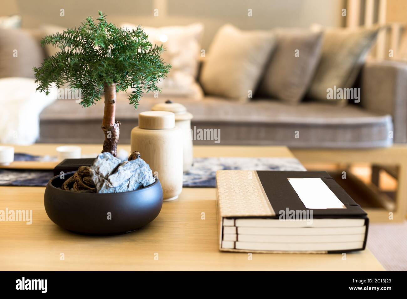 table with green pot plant in modern living room Stock Photo - Alamy