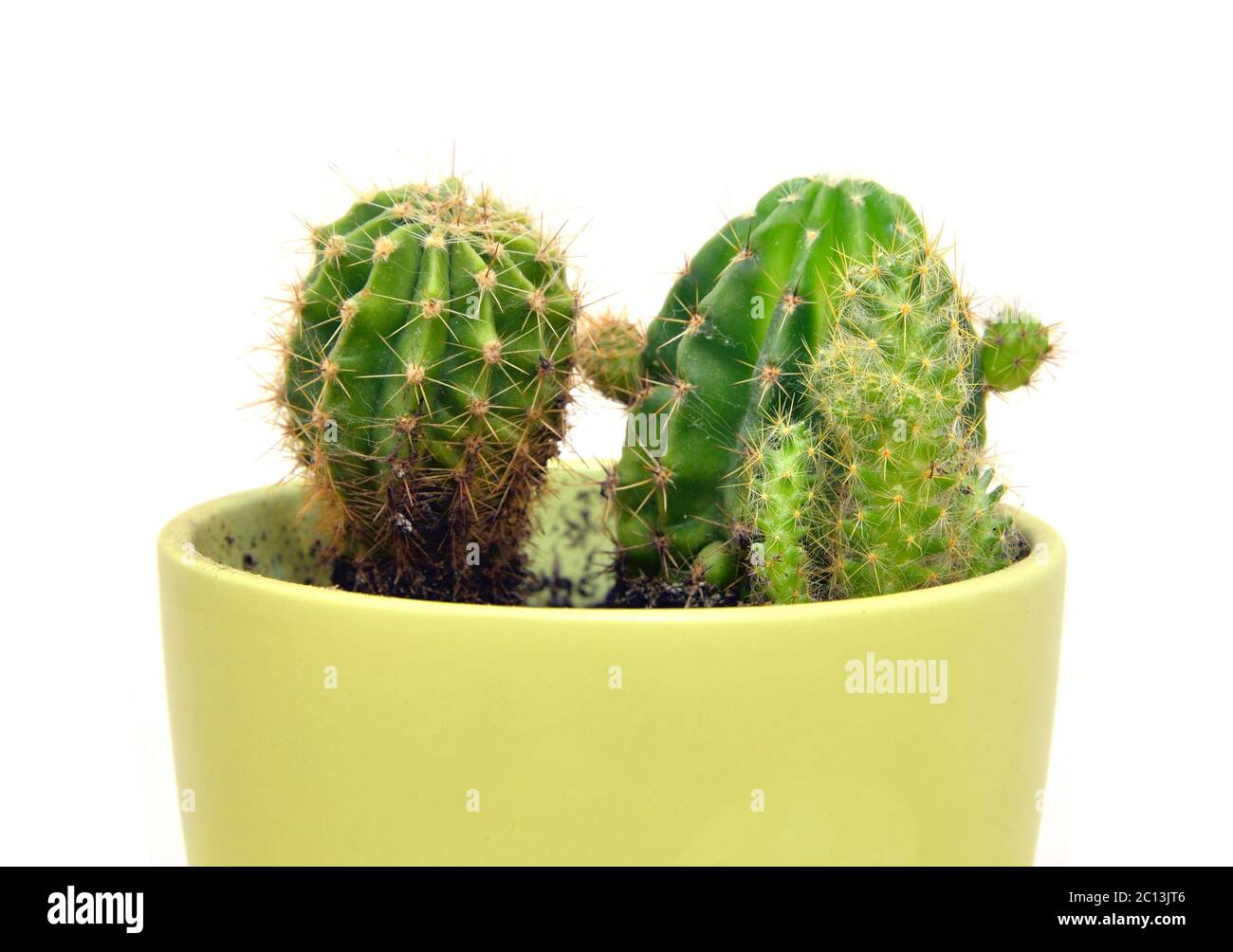 Needle pot hi-res stock photography and images - Alamy