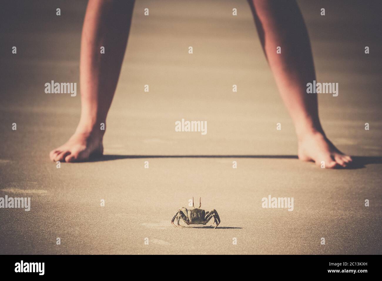 Crab against human Stock Photo - Alamy