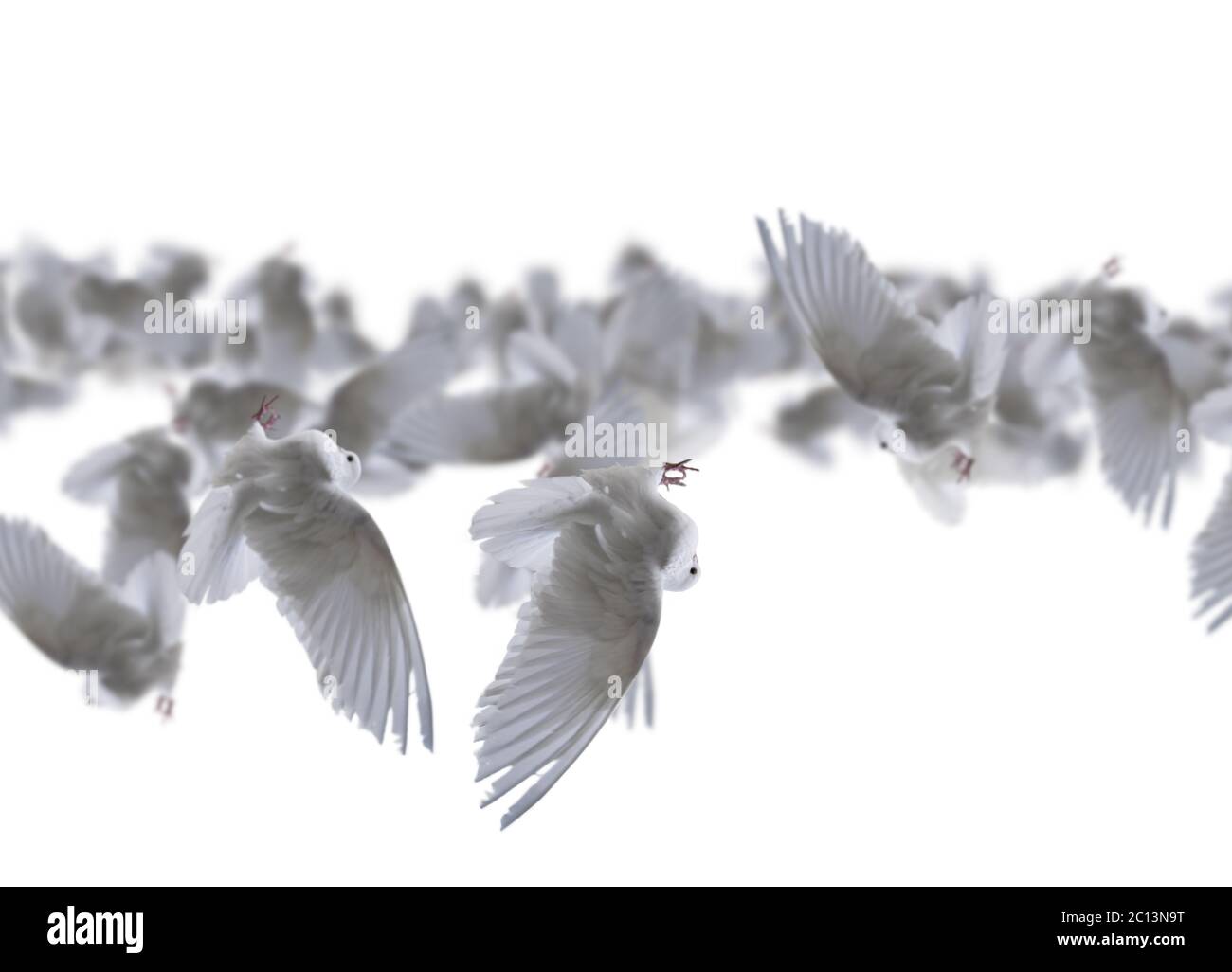 Beautiful white dove in flight hi-res stock photography and images - Alamy