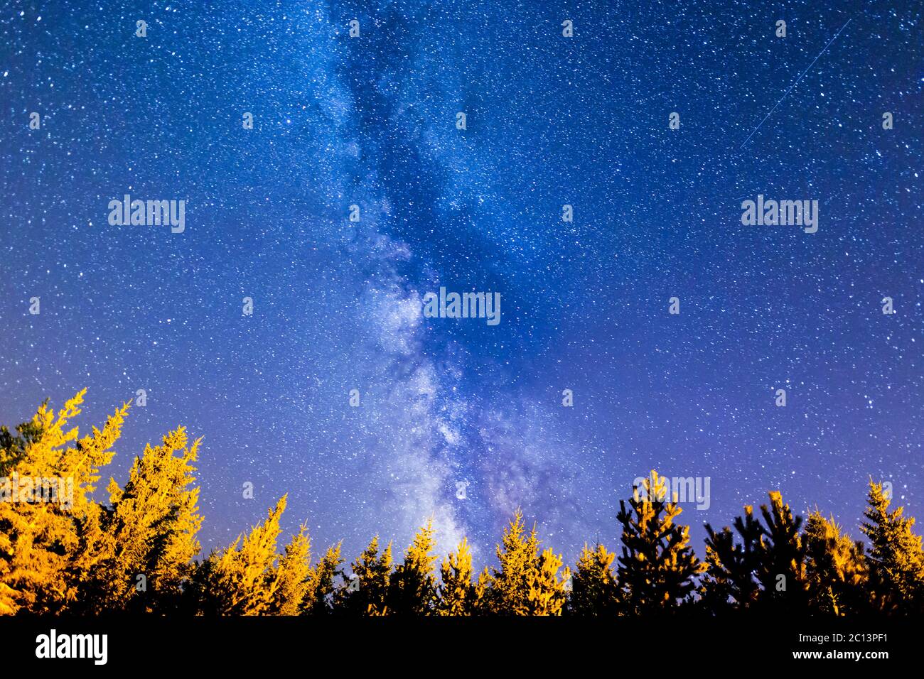 Pine trees and the Milky Way Stock Photo - Alamy
