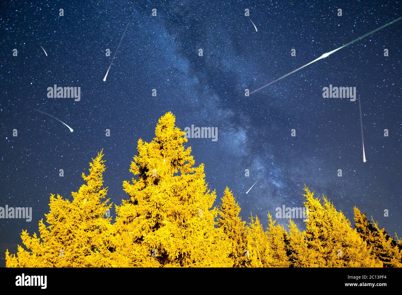 Falling stars pine trees Milky Way Stock Photo - Alamy