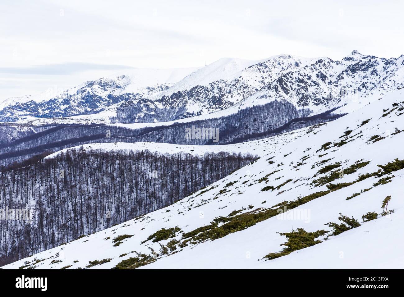 Balkan Mountains trees Stock Photo - Alamy