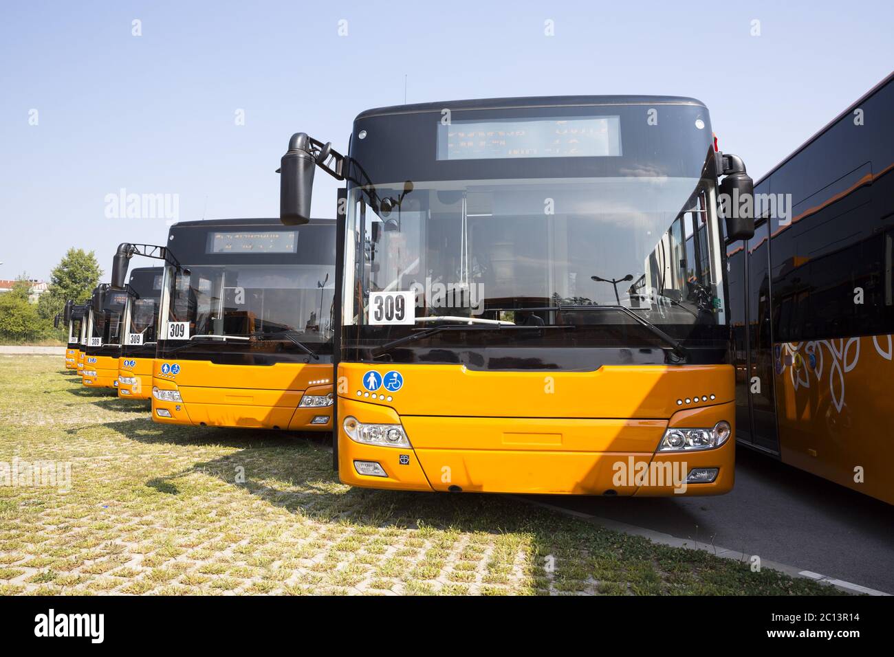 Busses in a row hi-res stock photography and images - Alamy