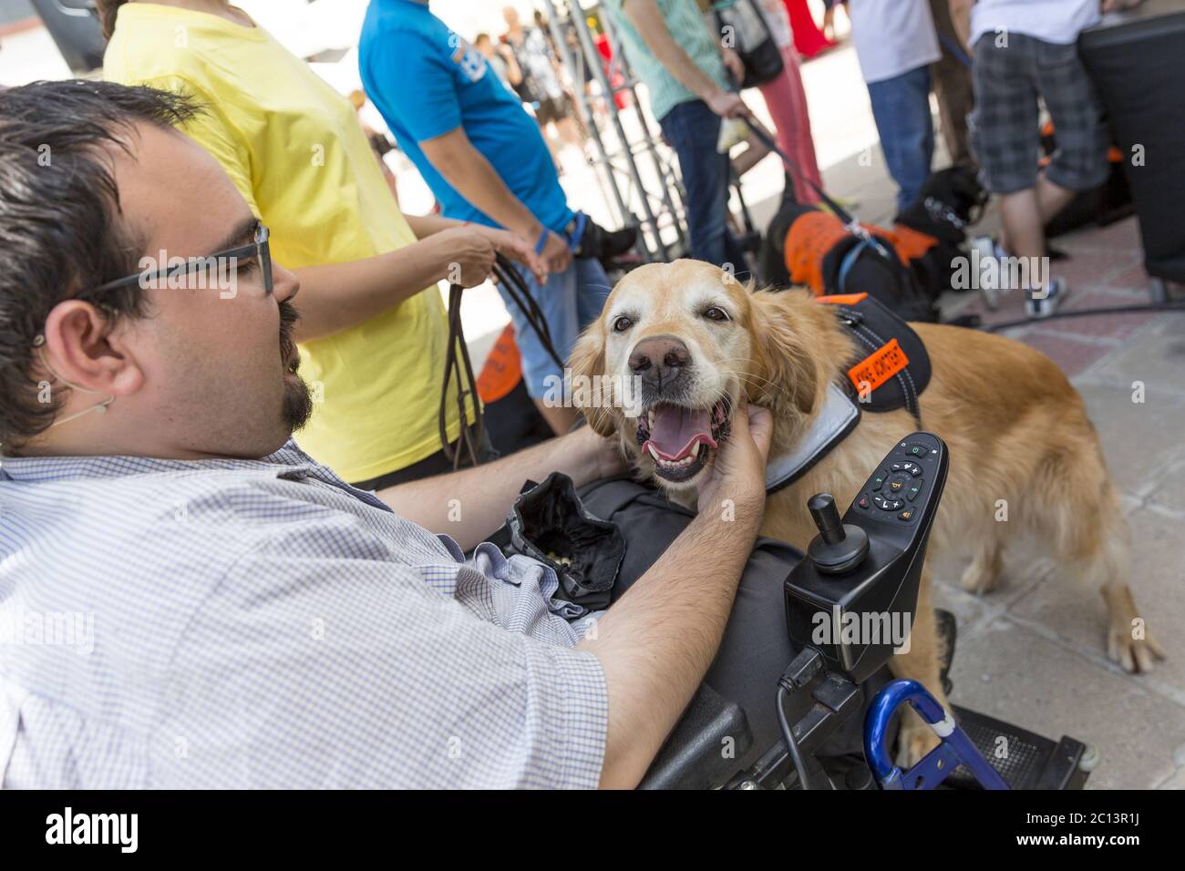 Guide and assistance dog Stock Photo - Alamy