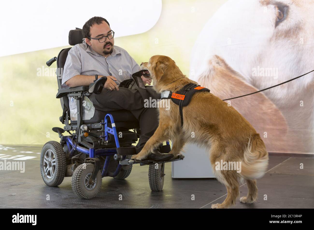 Guide dog disability train hi-res stock photography and images - Alamy