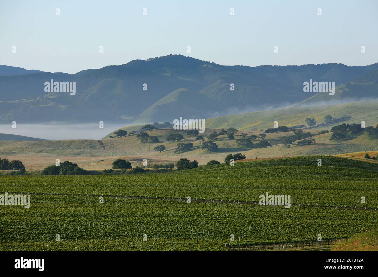 Santa Maria California High Resolution Stock Photography and Images - Alamy
