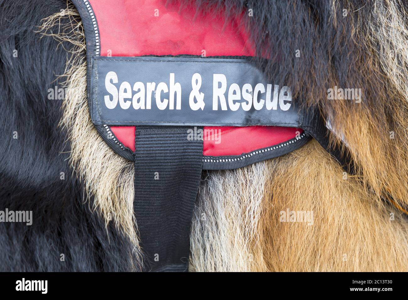 Search and rescue training unit hi-res stock photography and images - Alamy