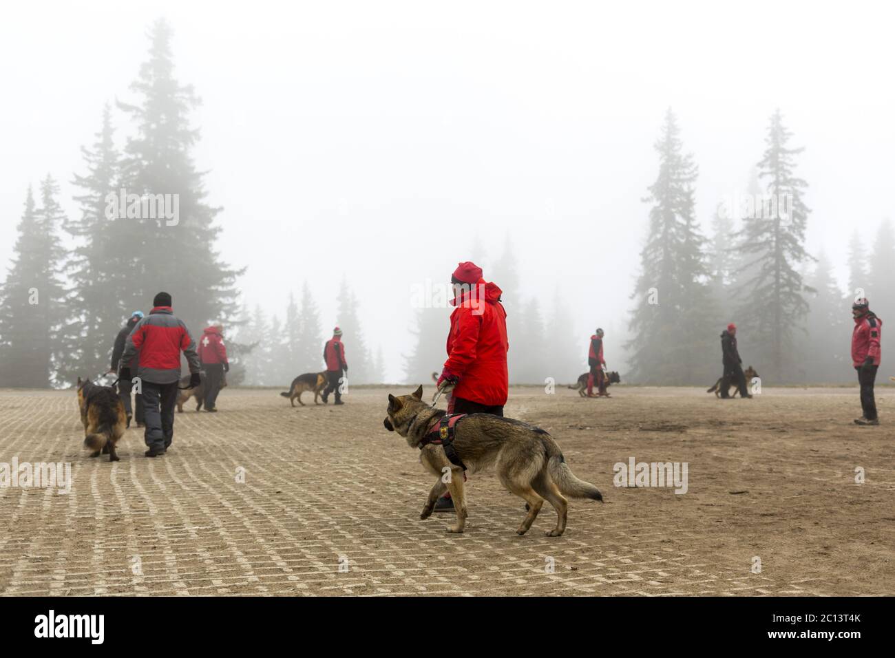 Red Cross search and rescue team Stock Photo - Alamy