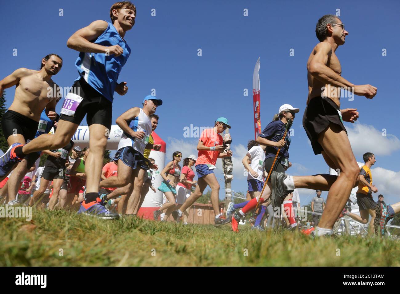 Group race runners forest hi-res stock photography and images - Alamy