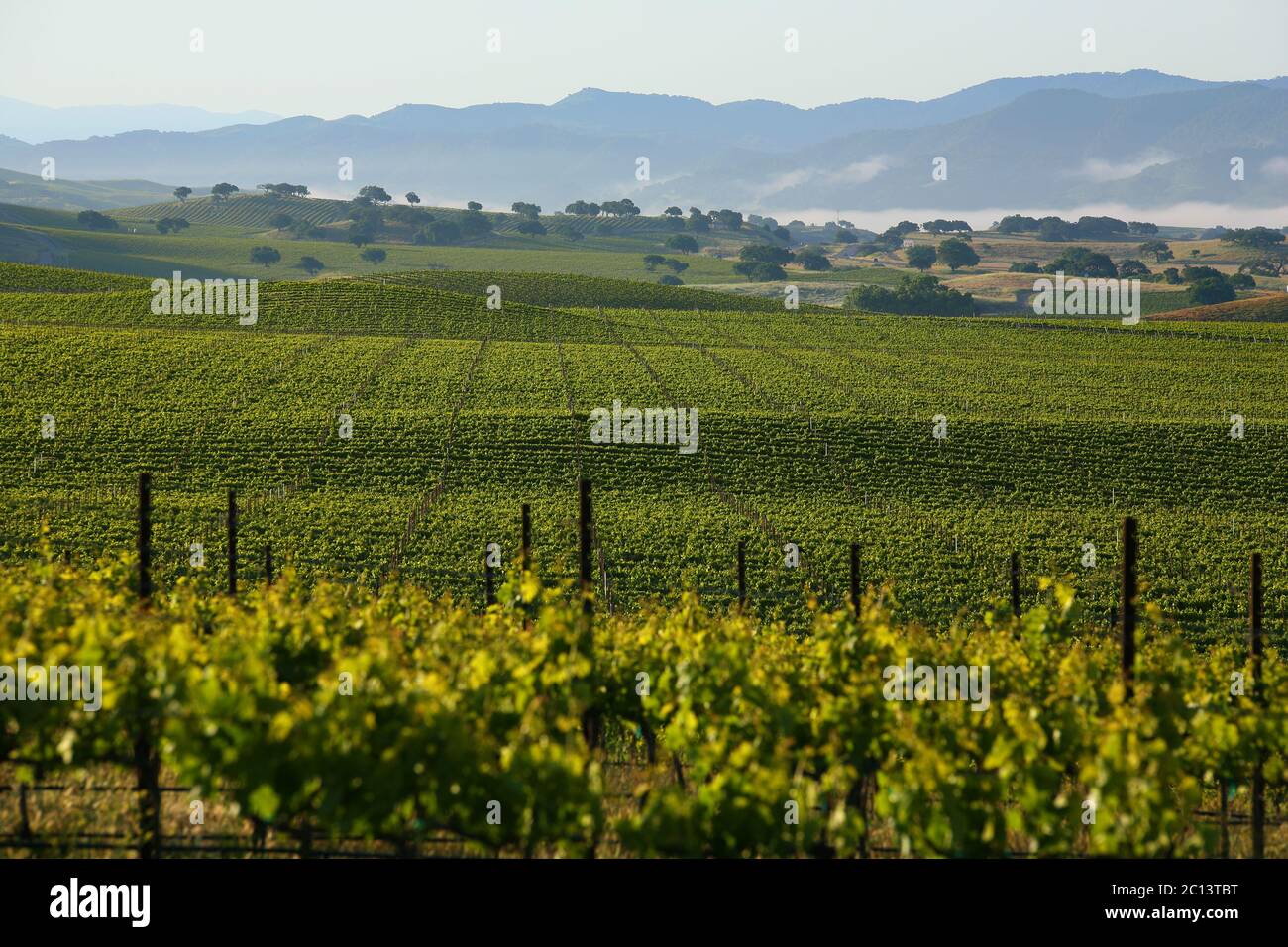 Santa Maria California High Resolution Stock Photography and Images - Alamy