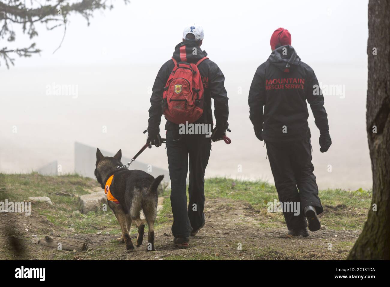 Red Cross search and rescue team Stock Photo - Alamy