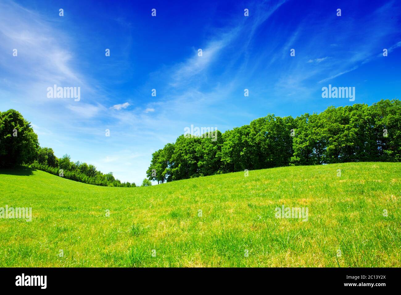 Summer farmland trees hi-res stock photography and images - Alamy