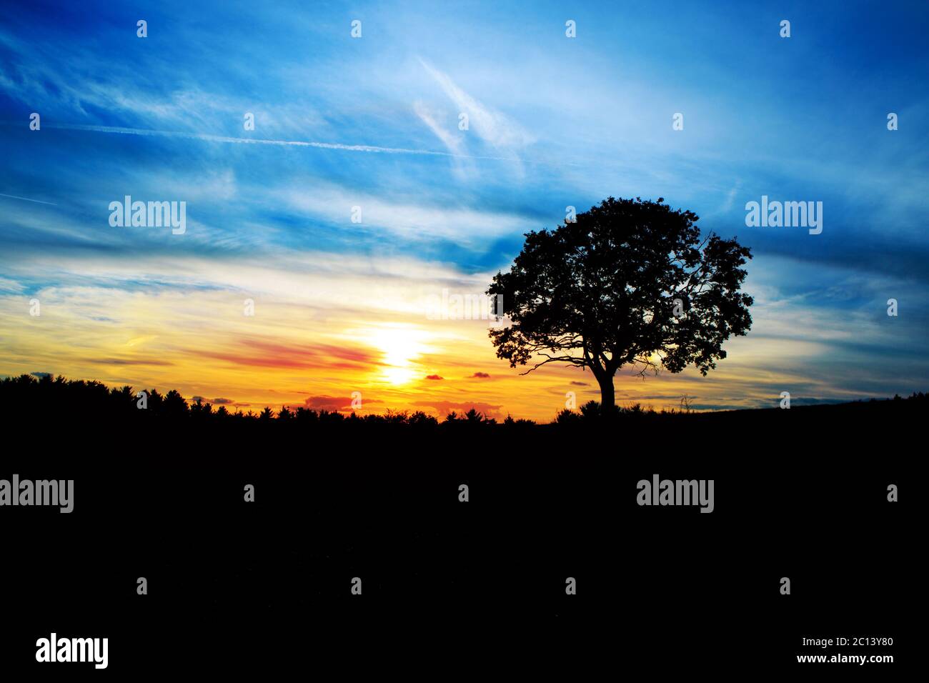 Tree sunrise hi-res stock photography and images - Alamy
