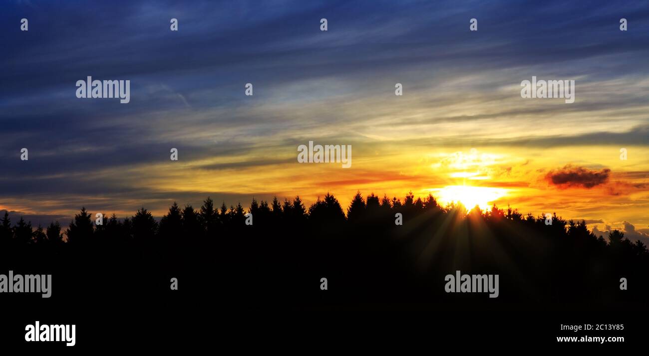 Sunrise over black forest mist Stock Photo - Alamy