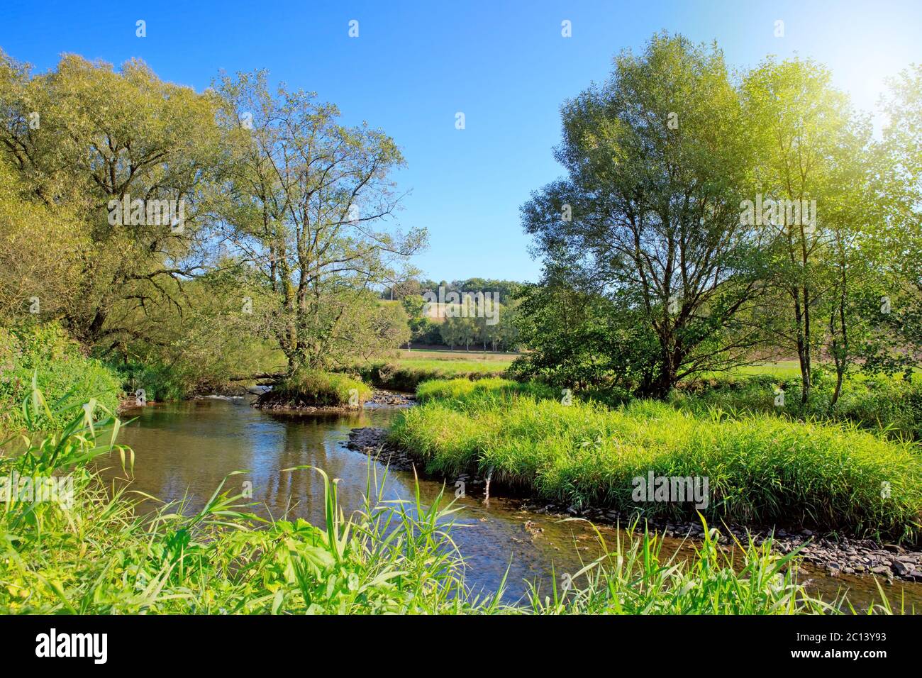 Rivers and trees hi-res stock photography and images - Alamy