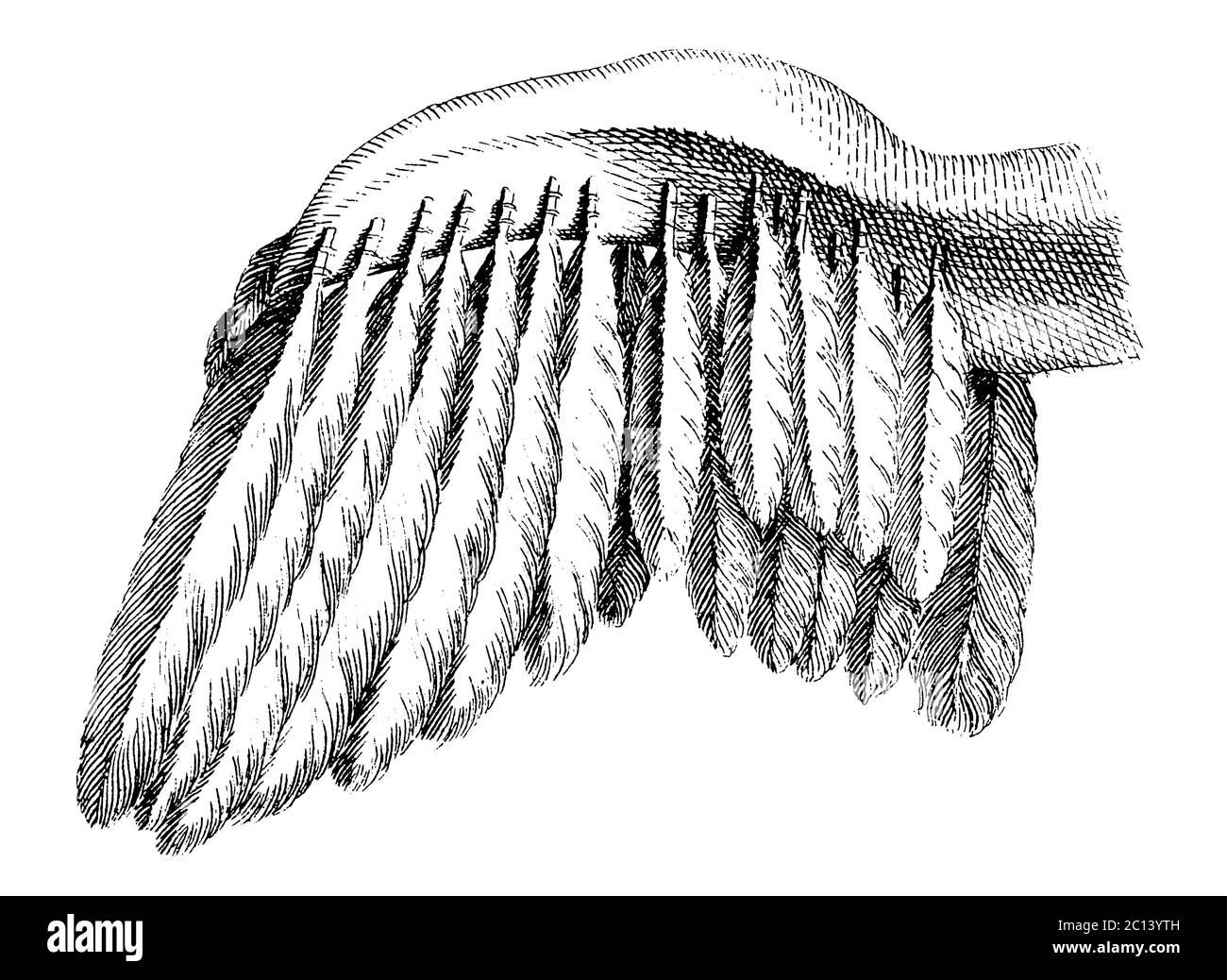 18th century illustration of a wing warn by children taking parts of ...