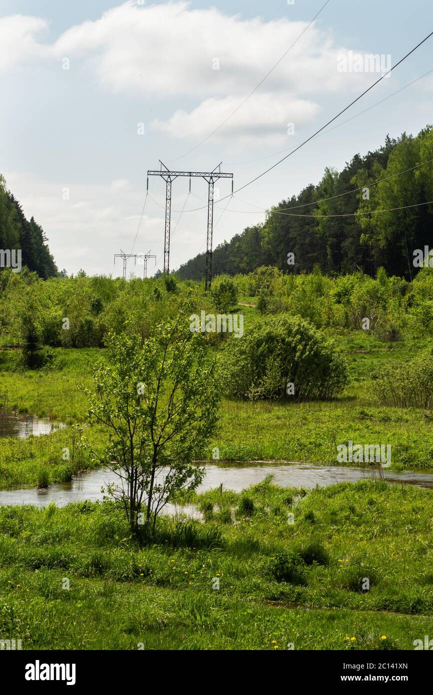View of the river forest and electric high voltage structures. Green ...