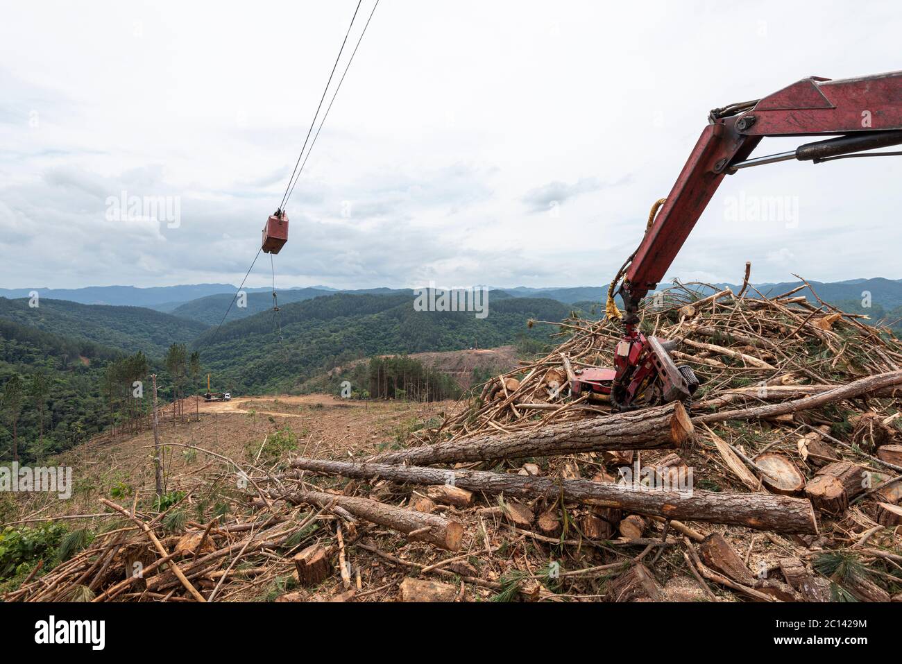 Cutting timber pulley hi-res stock photography and images - Alamy