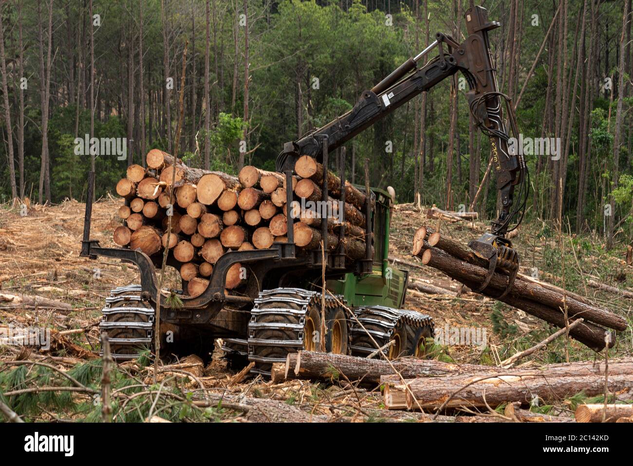 swing arm log loader truck on woods pine forest at work Stock Photo - Alamy