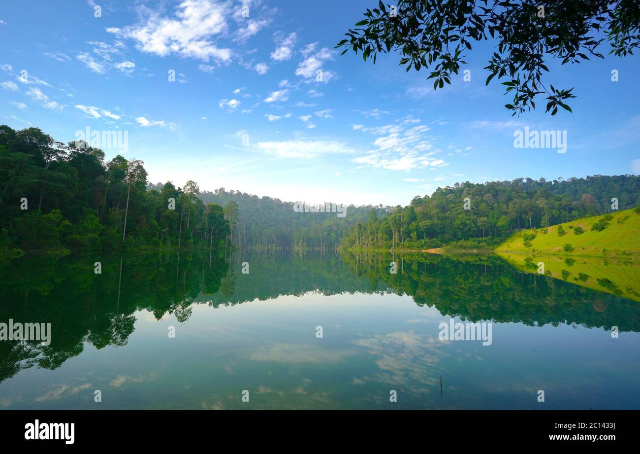 Beautiful lake landscape with forest and its reflection at the ...
