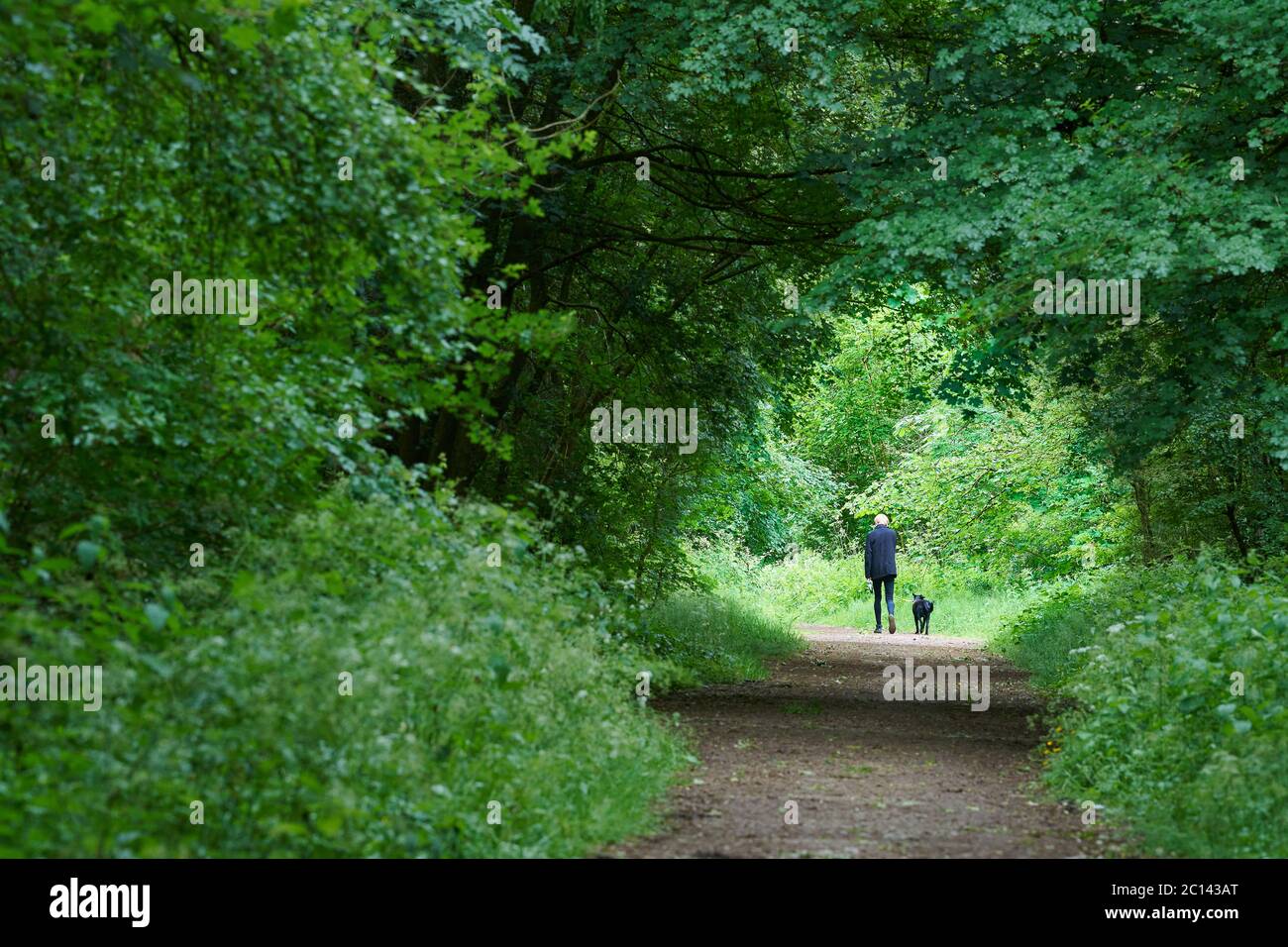Rockingham forest a hi-res stock photography and images - Alamy