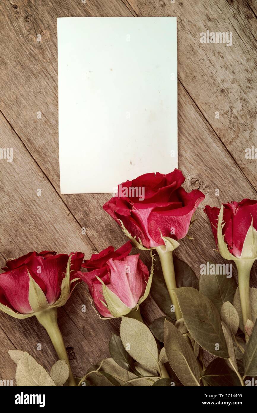 Four red roses hi-res stock photography and images - Alamy