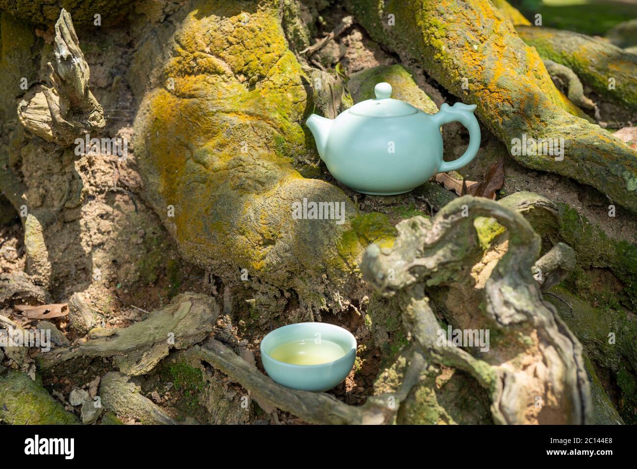 Tea culture, outdoor tea set on the trunks Stock Photo - Alamy