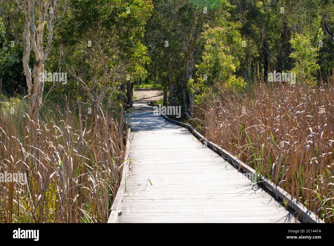 Walkway/bike track through wetlands of the third lagoon reserve at ...
