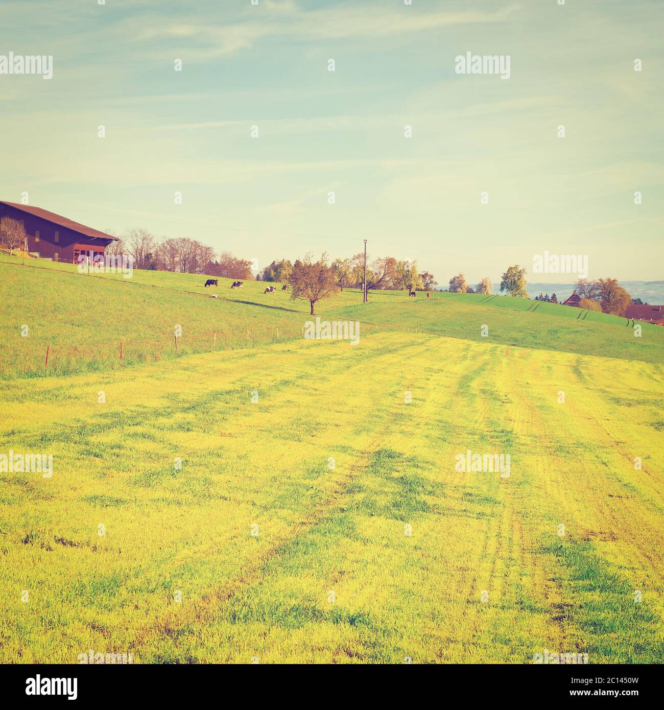 Country cowshed hi-res stock photography and images - Alamy