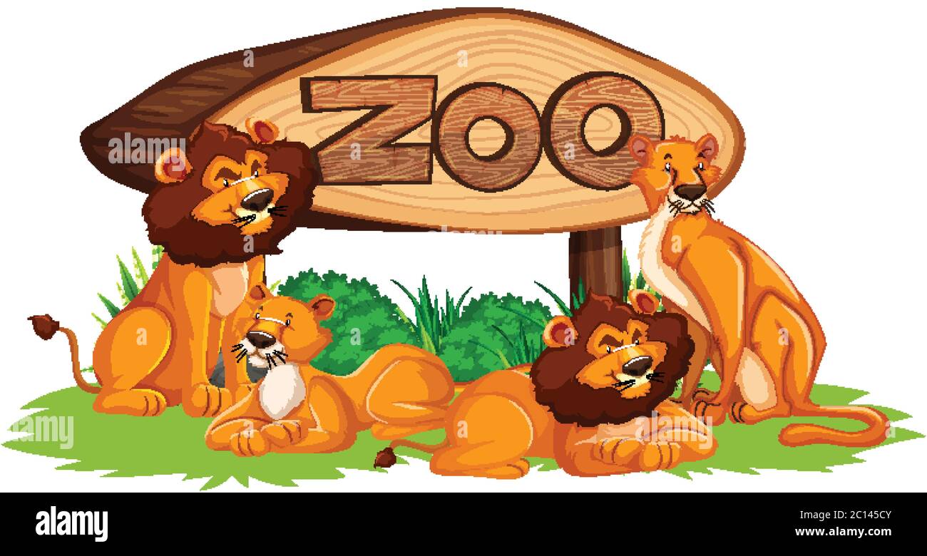 Lion with zoo sign isolated illustration Stock Vector Image & Art - Alamy