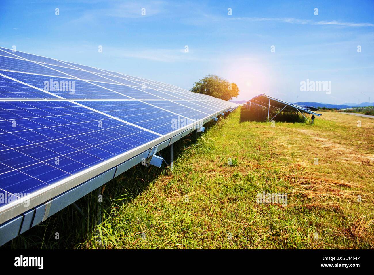 Solar panels on the lawn Stock Photo - Alamy