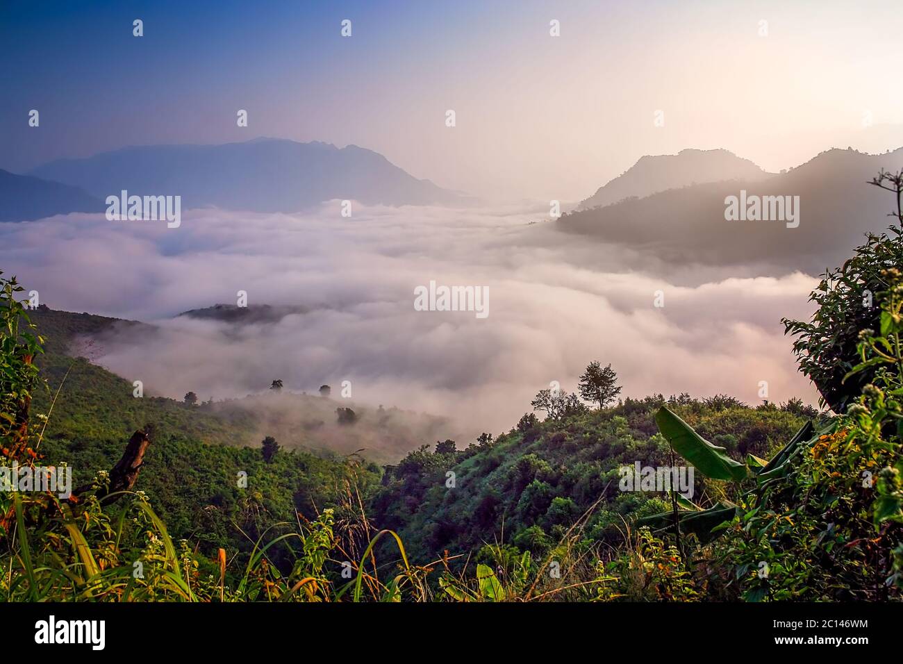 Ocean Of Mist Stock Photo - Alamy