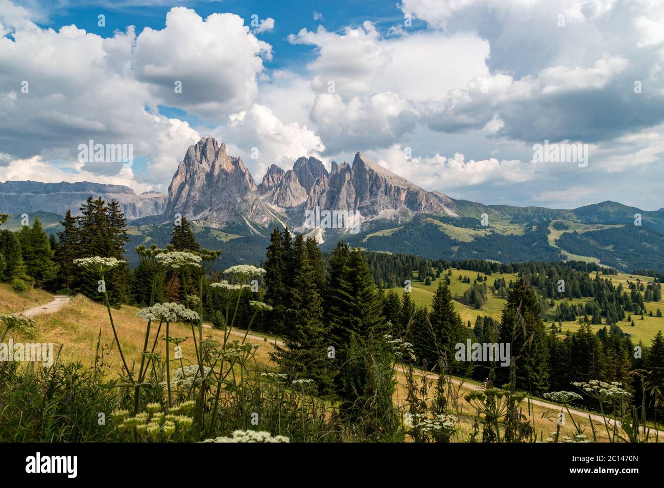 Mountain panoramas from the Alpe di Siusi, Trentino Alto Adige, Italy ...