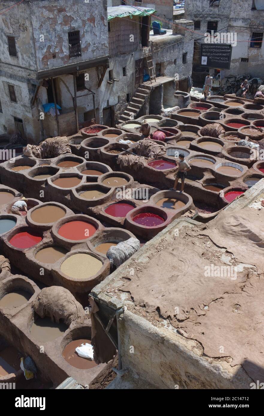 Morrocan men at working dying skins with color paint for leather in a ...