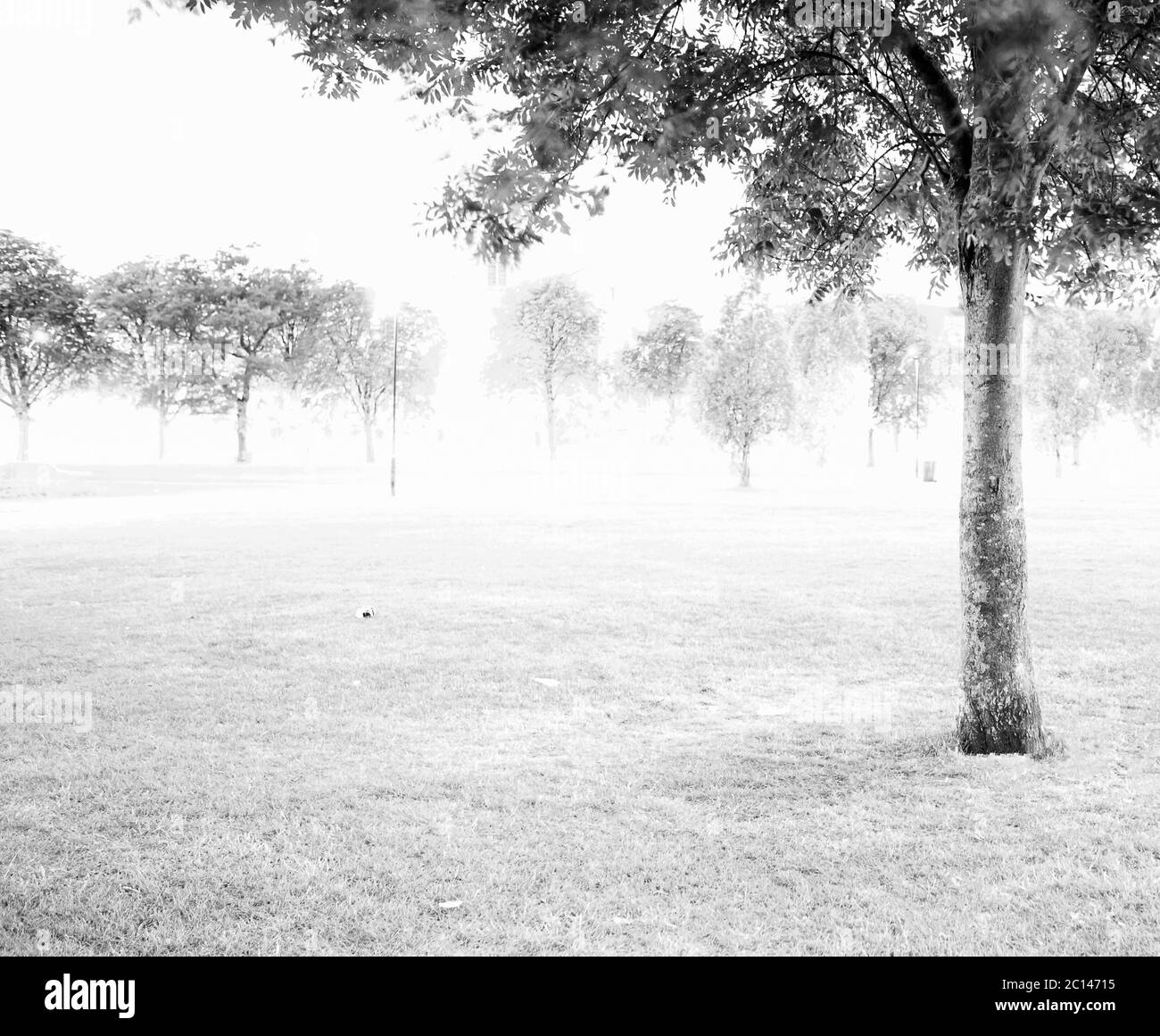 Sunset sky clouds field Black and White Stock Photos & Images - Alamy